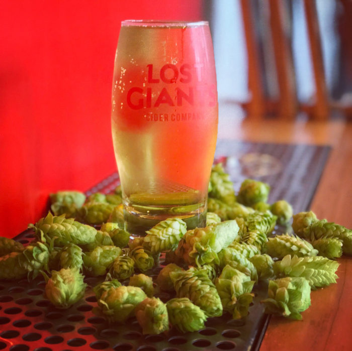 Our Ciders – Lost Giants Cider Co.